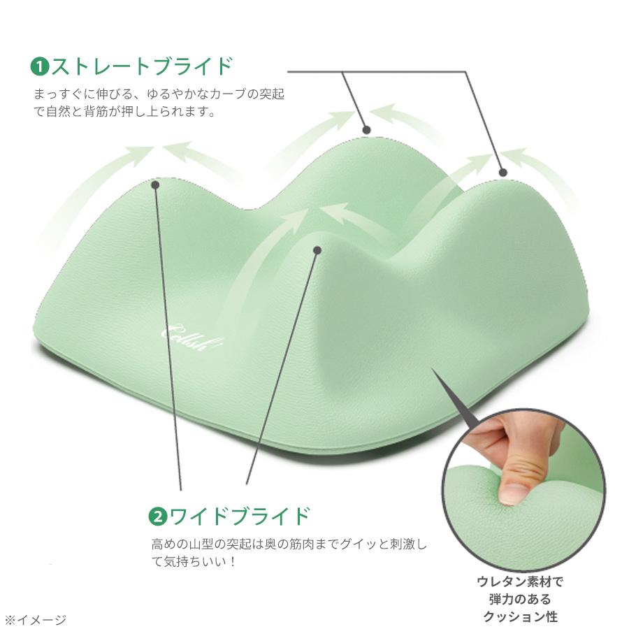 Cellsh 肩甲骨ストレッチクッション | TBSショッピング