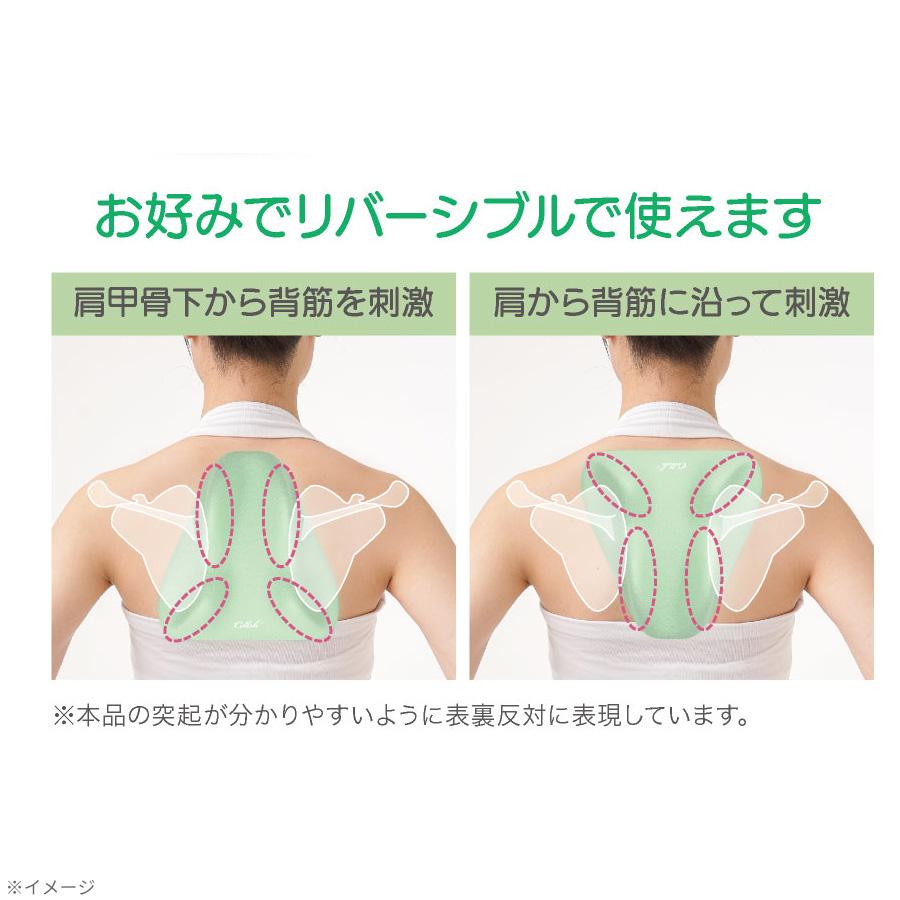 Cellsh 肩甲骨ストレッチクッション | TBSショッピング