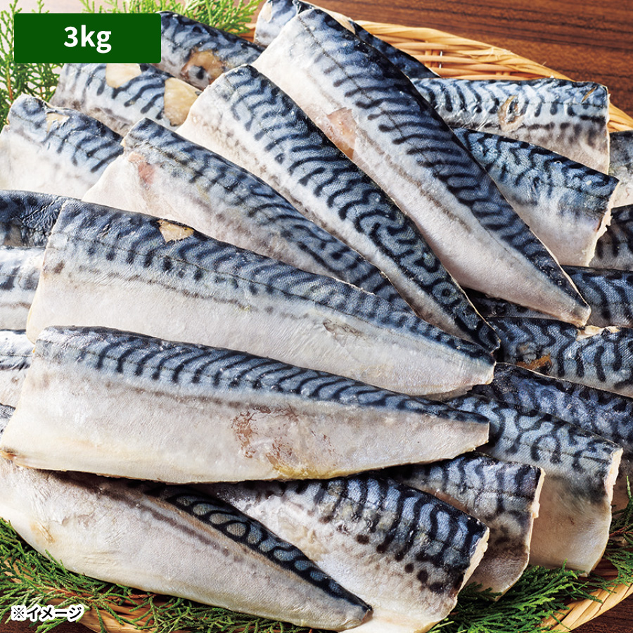 訳あり 鯖の切身／1kg×3 計3kg | TBSショッピング