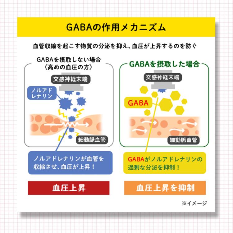 伊藤園 健康体 GABA青汁GOLD 粉末スティック／30本 | TBSショッピング